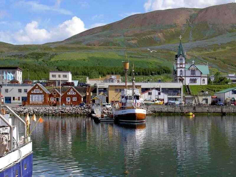 Akureyri: Diamond Circle & Lunch (Dettifoss-Myvatn-Godafoss) - What’s Included and How the Logistics Matter