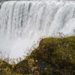 Akureyri Port: Dettifoss, Goðafoss and Lake Mývatn Tour - Logistics and Practical Details