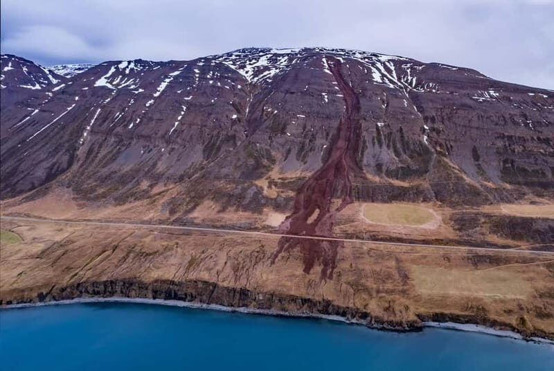 Akureyri: Private Whale Watching and Arctic Coastline Tour - Why This Tour Offers Good Value