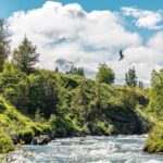 Akureyri: Zipline Tour - An Overview of the Experience
