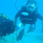 Alanya: 2 Guided Scuba Dives with Lunch and Hotel Transfers - The Itinerary in Detail