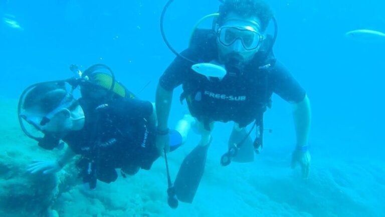 Alanya: 2 Guided Scuba Dives with Lunch and Hotel Transfers - The Itinerary in Detail