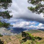 Alanya Family Jeep Safari: Scenic Adventure for All Ages - What to Expect from the Jeep Safari Experience