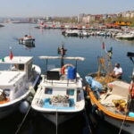 Alanya: Fishing Tour with Lunch and Hotel Transfers - The Value: Is It Worth It?
