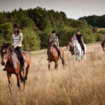 Alanya: Horse Riding Tour with Hotel Transfers - What to Expect from the Horse Riding Tour