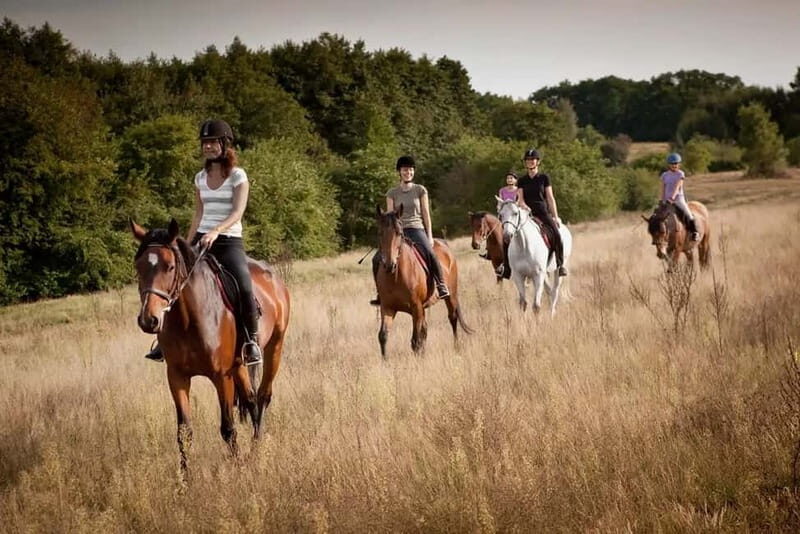Alanya: Horse Riding Tour with Hotel Transfers - What to Expect from the Horse Riding Tour