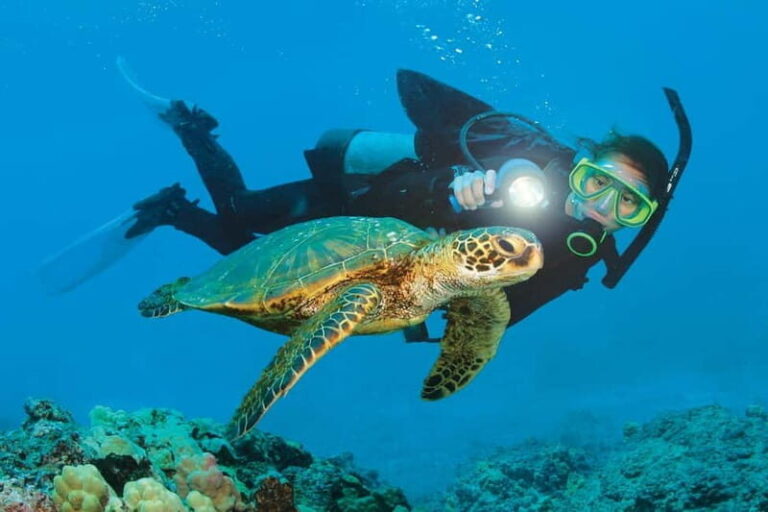 Alanya: Scuba Diving Adventure for Beginners & Professionals - Diving Spots & Marine Life
