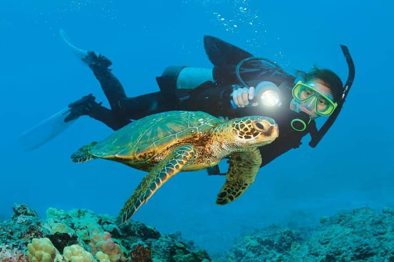 Alanya: Scuba Diving Adventure for Beginners & Professionals - Diving Spots & Marine Life