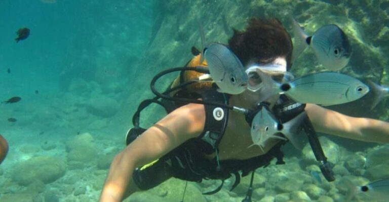 Alanya: Scuba Diving Experience with Lunch - The Experience Provider: Seven Tours