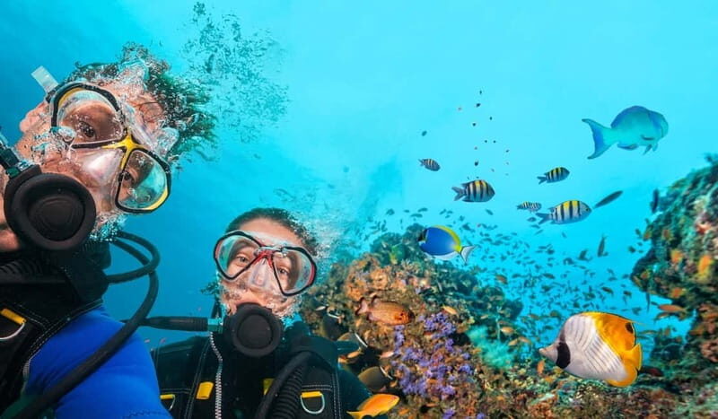Alanya: Scuba Diving Tour Incl. Lunch with Hotel Transfer - The Value of This Experience