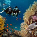 Alanya: Scuba Diving Tour with Lunch and Hotel Transfers - Key Points