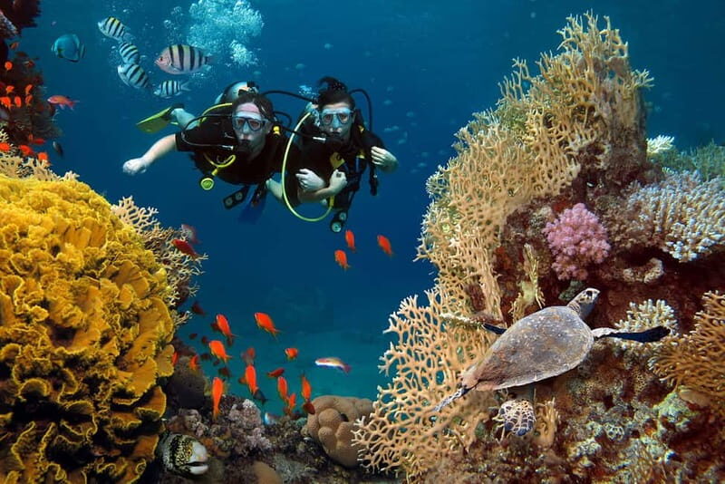 Alanya: Scuba Diving Tour with Lunch and Hotel Transfers - Key Points