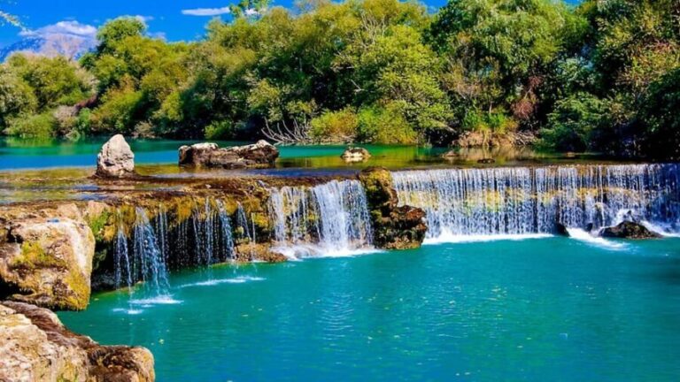 Alanya/Side: Manavgat River & Waterfall, Boat Tour, & Bazaar - Authentic Feedback from Travelers