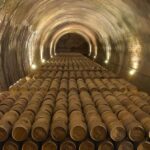 Álava: Viña Real Winery - A Closer Look at the Viña Real Winery Experience