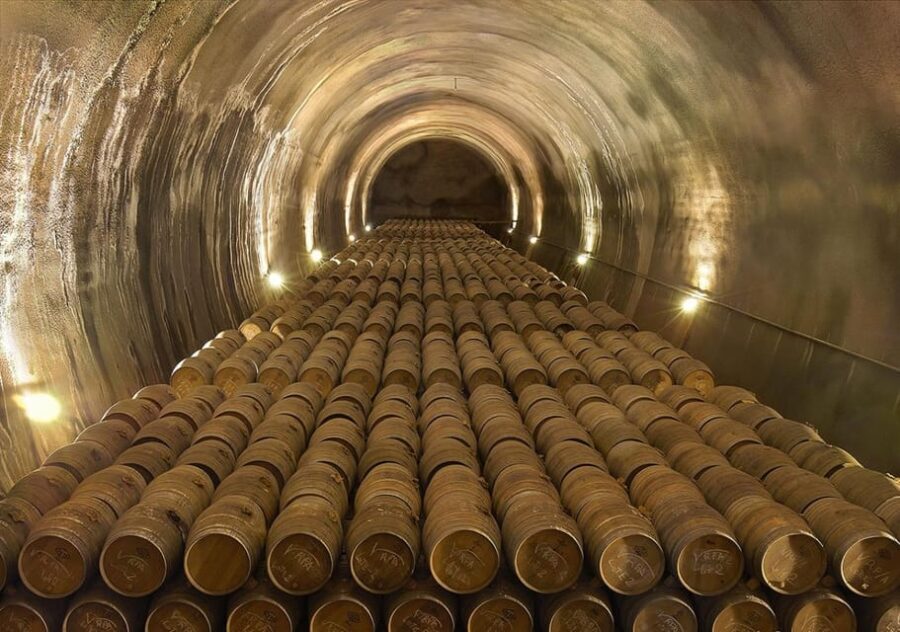 Álava: Viña Real Winery - A Closer Look at the Viña Real Winery Experience