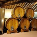 Alba: E-Bike Tour with wine tastin in cellar - The Route and Landscape