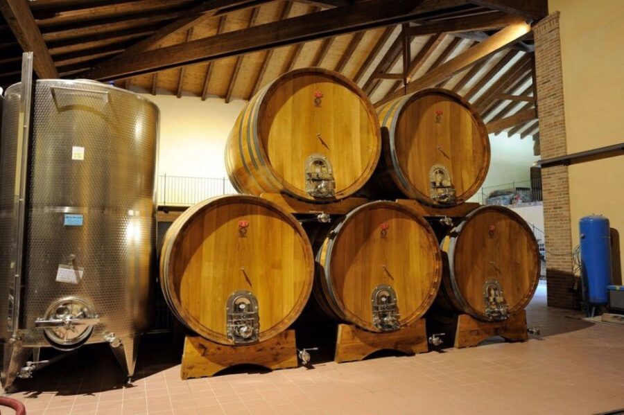 Alba: E-Bike Tour with wine tastin in cellar - The Route and Landscape