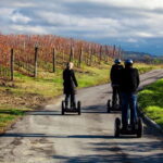 Alba: Guided Segway Tour through Langhe Hills and Vineyards - Who It’s Perfect For