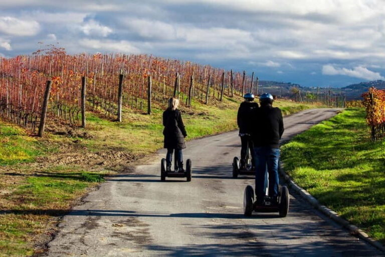 Alba: Guided Segway Tour through Langhe Hills and Vineyards - Who It’s Perfect For