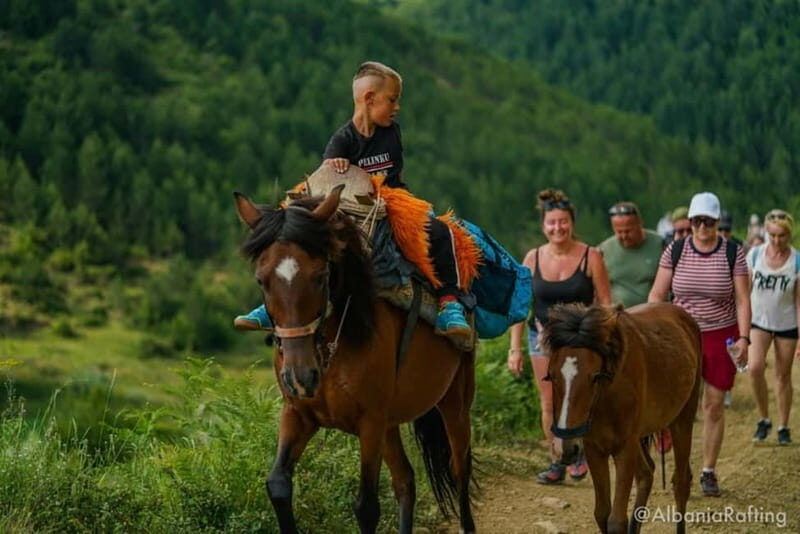 Albania: Berat Hiking &Off Road with mules,Tomor Holly Mount - Who Should Consider This Tour?