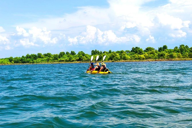 Albania Birdwatching, Kayaking, Bicycle National Park Divjaka Karavasta(ARG) - Introduction