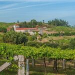Albariño trails Private Wine Tour/Shore excursion from Vigo - The Practicalities: Value and Comfort