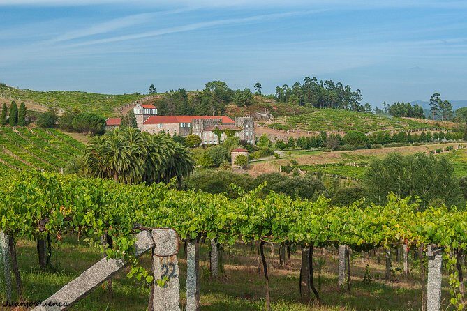 Albariño trails Private Wine Tour/Shore excursion from Vigo - The Practicalities: Value and Comfort