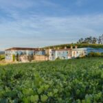 Albariño Wine Tasting with Winery Tour - An in-Depth Look at the Winery Tour Experience