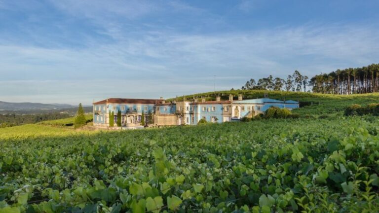 Albariño Wine Tasting with Winery Tour - An in-Depth Look at the Winery Tour Experience