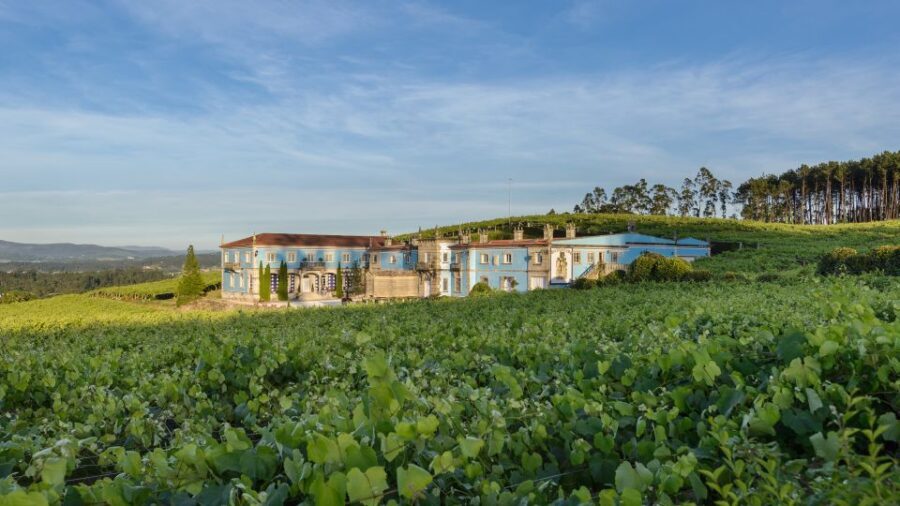 Albariño Wine Tasting with Winery Tour - An in-Depth Look at the Winery Tour Experience