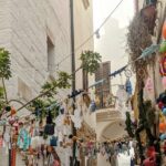 Alberobello and Polignano private walking tour - Transportation and Logistics: Seamless and Relaxed