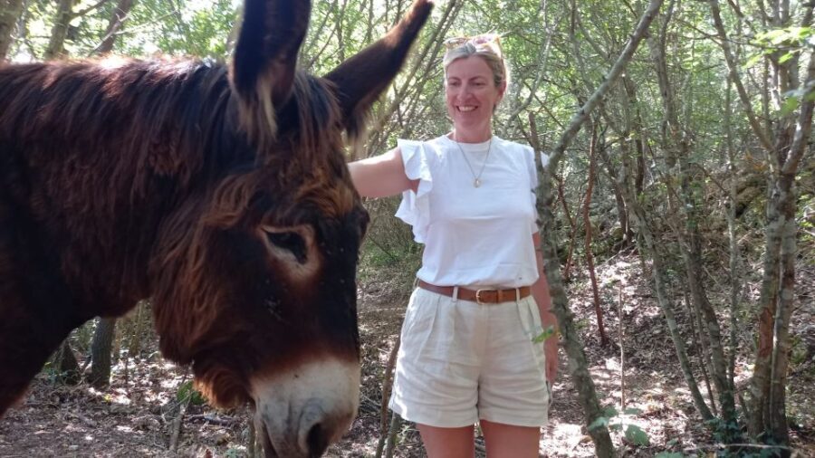 Alberobello e-bike tour with visit to a donkey farm - Whats Included and Practical Details