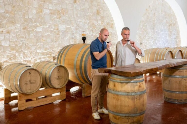 Alberobello: Winery Tour with Wine and Food Tasting - Who Will Love This Tour?