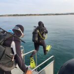 Albufeira: 2 DIVES TRIP (ONLY CERTIFIED DIVERS) - Who Should Consider This Tour?