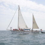 Albufeira: 6-Hour Boat Tour with BBQ and Drinks - What Makes This Tour Stand Out?