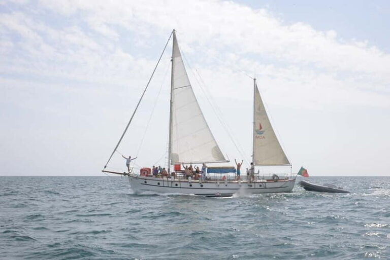Albufeira: 6-Hour Boat Tour with BBQ and Drinks - What Makes This Tour Stand Out?