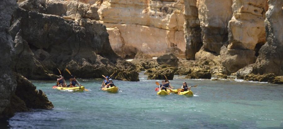 Albufeira: Algarve Kayak and Coastline Tour - The Itinerary in Detail