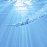 Albufeira: Benagil Caves & Dolphin Watching Speed Boat Tour - Detailed Breakdown of the Tour