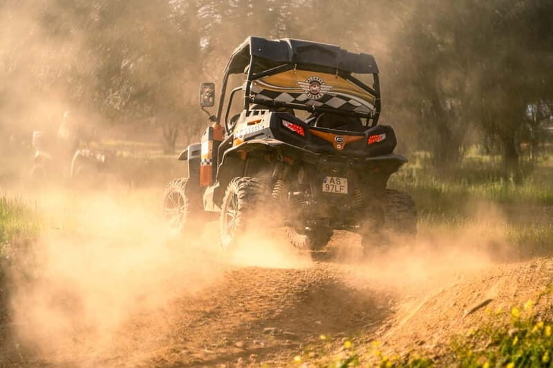 Albufeira: Buggy Adventure through the Algarve Hidden Gems - The Experience: What You’ll Actually Do