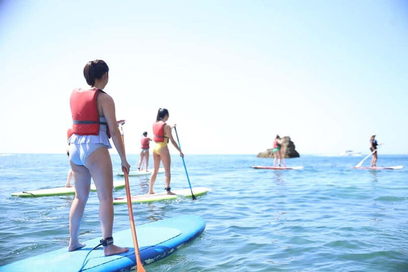 Albufeira: Caves and cliffs Paddleboarding (SUP) Tour - A Carefully Designed Itinerary