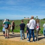 Albufeira: City Highlights & WINE TASTING - Breaking Down the Itinerary