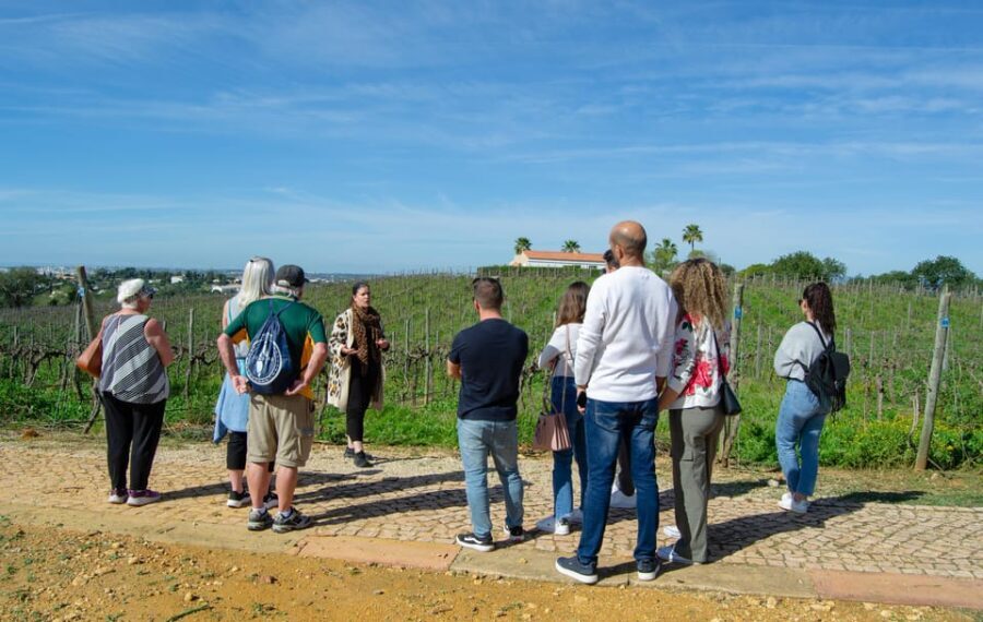 Albufeira: City Highlights & WINE TASTING - Breaking Down the Itinerary
