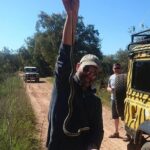Albufeira Jeep Safari Full Day (PRIVATE TOUR) - Who Should Consider This Tour?