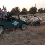 Albufeira: Jeep Safari Half-Day Countryside Tour - The Value of the Tour