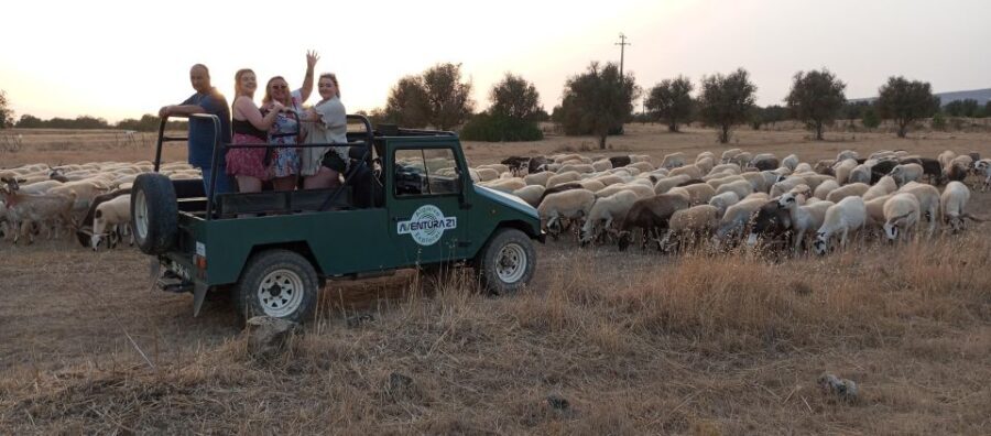 Albufeira: Jeep Safari Half-Day Countryside Tour - The Value of the Tour
