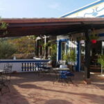 Albufeira, Olhão, Faro: visit to a vineyard, free time in Silves - Overall Value and Practical Tips