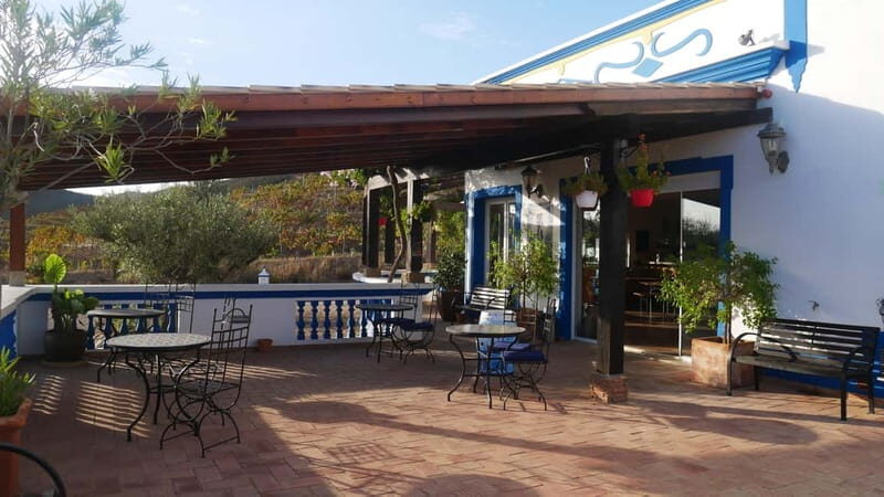 Albufeira, Olhão, Faro: visit to a vineyard, free time in Silves - Overall Value and Practical Tips