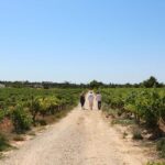 Albufeira/Porches/Vilamoura: Wine Tasting with Tapas & Music - The Charm of Local Tapas and Live Music