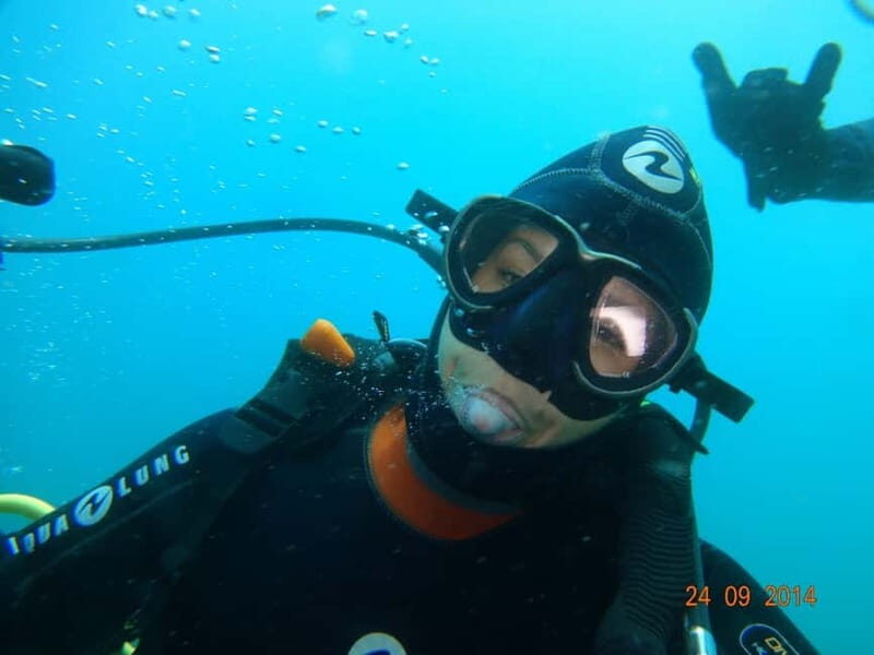 Albufeira: Scuba Diving Experience for Beginners - Why Travelers Love This Experience