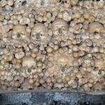 Albufeira: Silves Castle and Chapel of Bones, and Benagil - Who Would Enjoy This Tour?